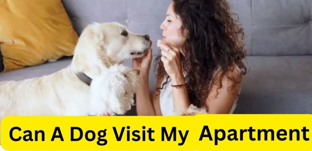 Can A Dog Visit My Apartment? How To Get Permission?