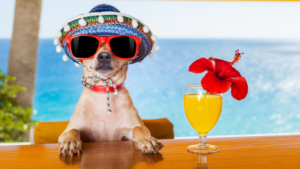 The Ultimate Guide to Mexican Street Dogs - Dogs Info Blog